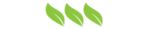 Packages - Jarrett Indoor Plant Hire