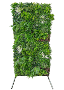 Packages - Jarrett Indoor Plant Hire